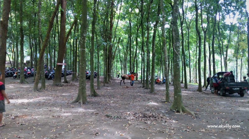 Menikmati Kesejukan Air Terjun Coban Jahe Kabupaten Malang – akulily